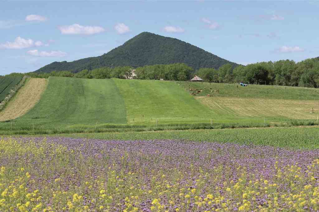 poda_01 – Bioklimatický Park Drienová