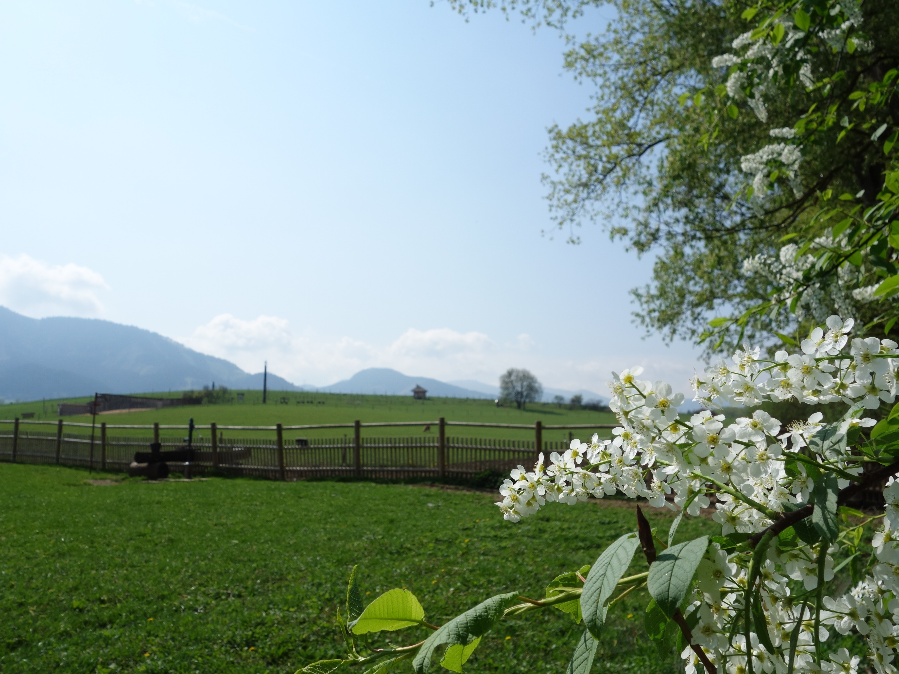 jar – Bioklimatický Park Drienová