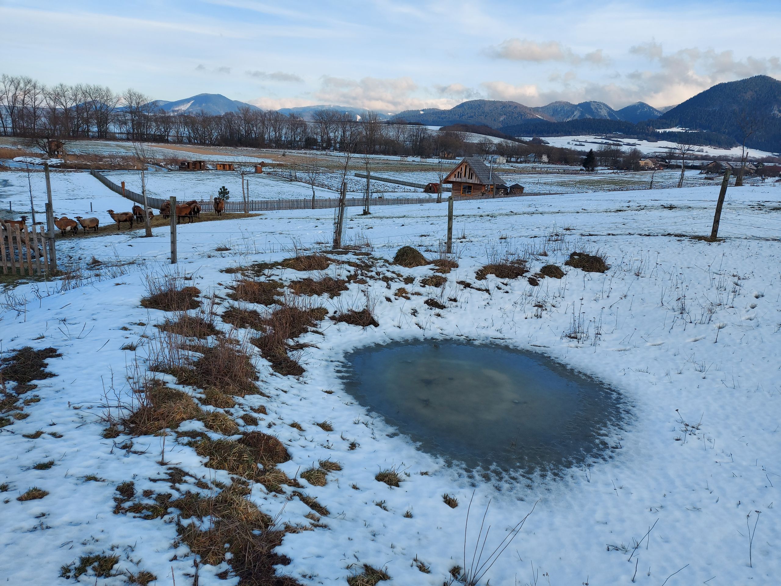 zvonica jazierko – Bioklimatický Park Drienová