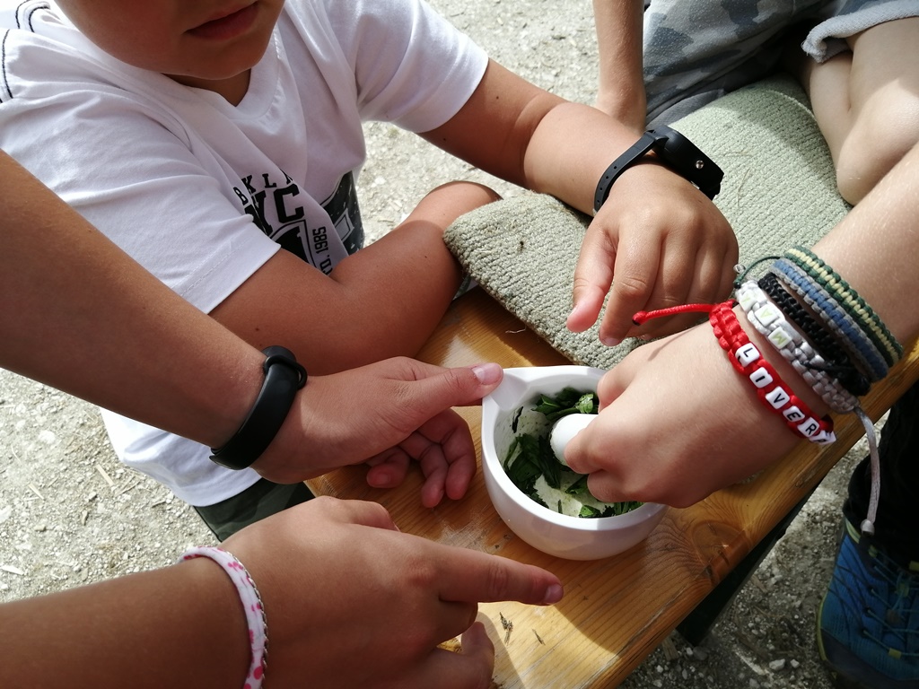 Educational ECOprograms for School Kids – Bioklimatický Park Drienová
