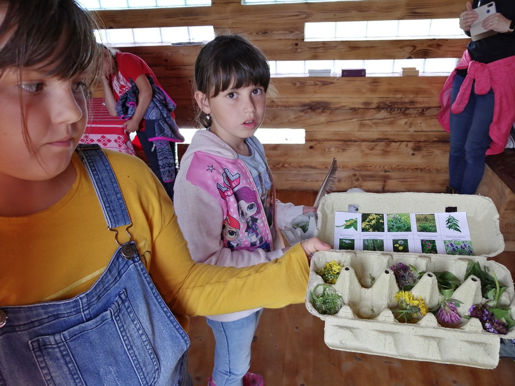 Educational ECOprograms for School Kids – Bioklimatický Park Drienová