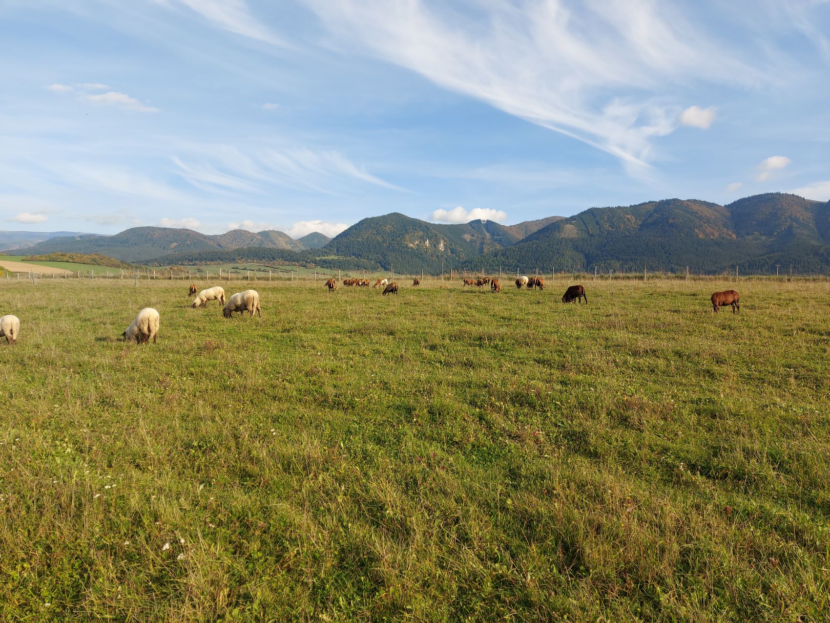 jesen v parku_web – Bioklimatický Park Drienová