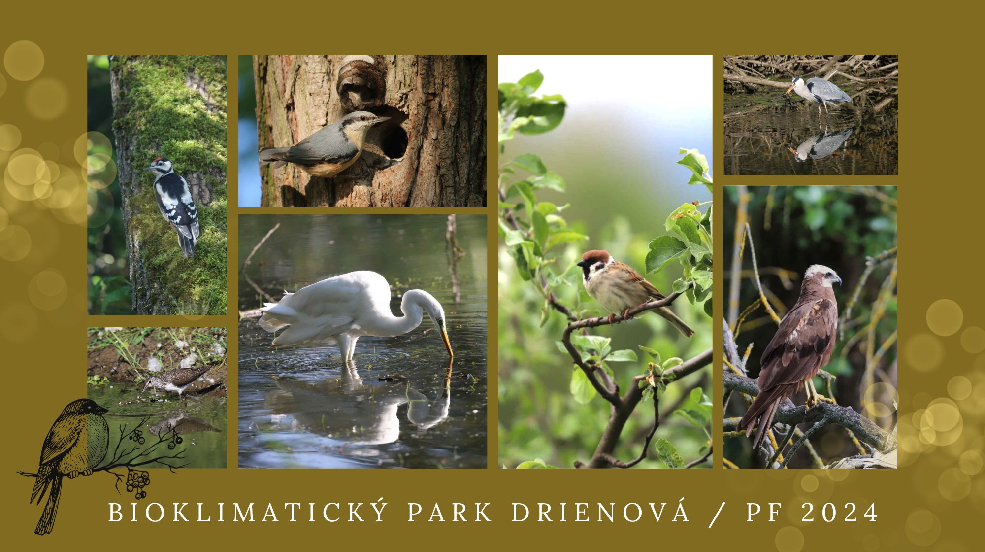 PF 2024 – Bioklimatický Park Drienová